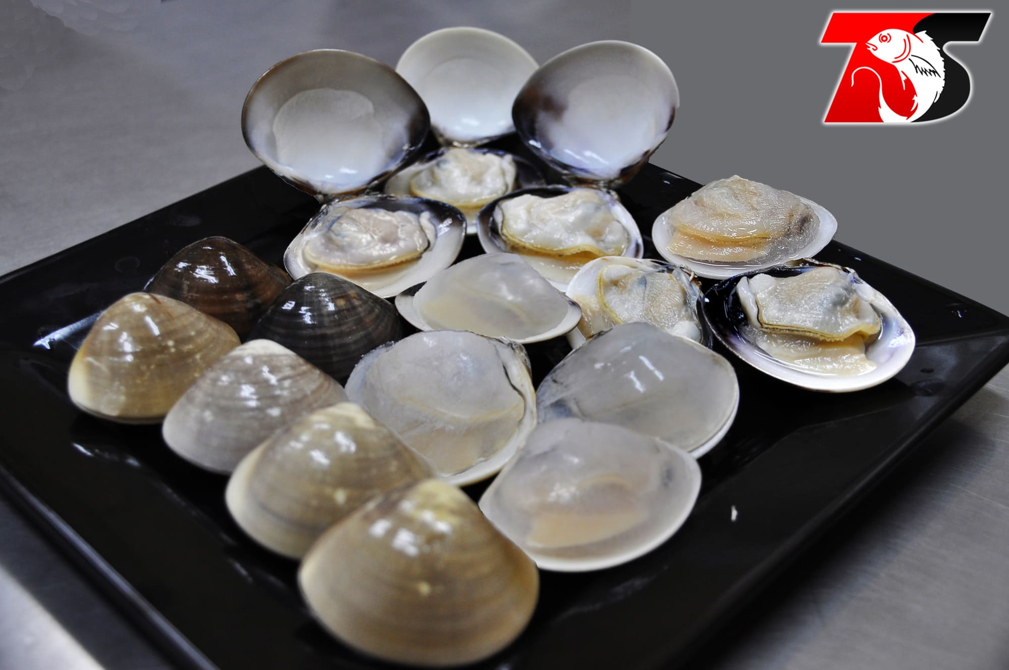 PT. Toba Surimi Industries